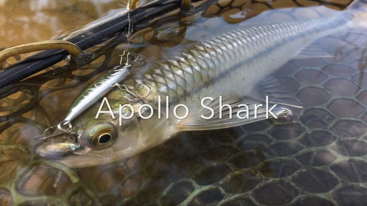 Apollo shark by StreamWork the villain rod ซิวอ้าว - JOJO TACKLE